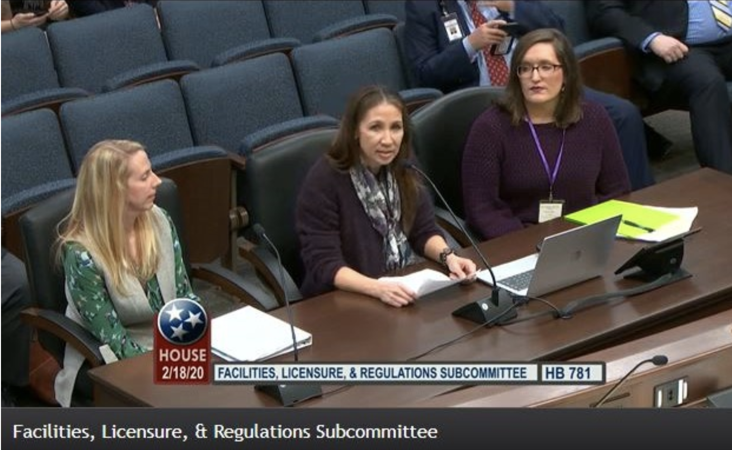 From Art Therapists to Advocates: Achieving Art Therapy Licensure in ...